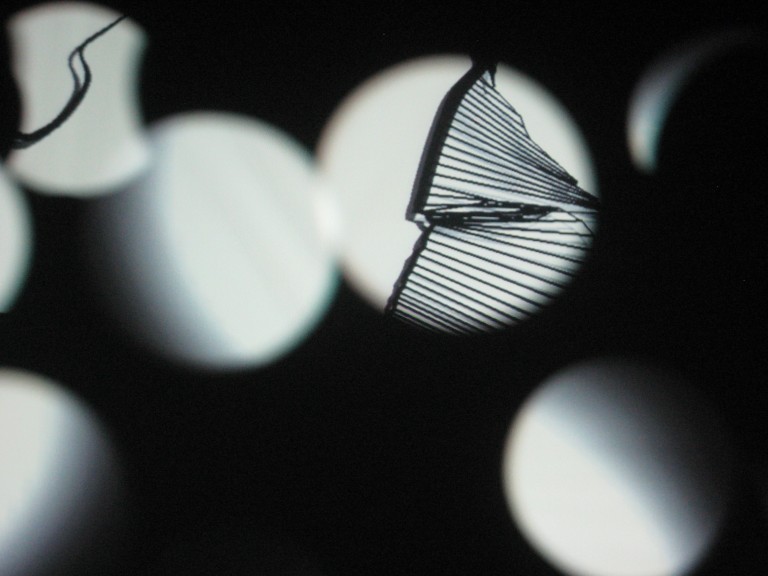 Decrypted Reflections – Chris Sugrue